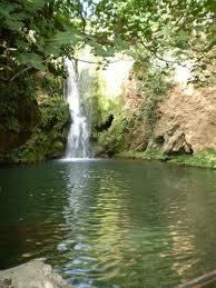 EL ESPACIO NATURAL: el espacio natural